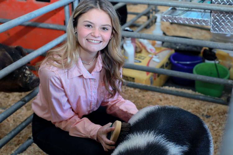 Pigs, cattle, goats, poultry, rabbits, sheep take over barns at West ...