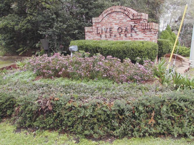 Live Oak Estates - 576 Highland Oaks Drive | Real Estate | theadvocate.com