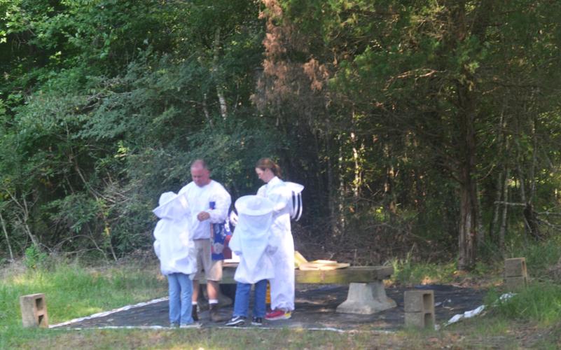 Local group: Save the bees, save the world | Ascension | theadvocate.com
