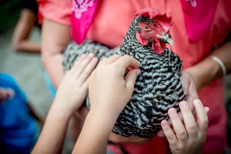 We'll take that to GROW: Algiers farm shows visitors where food comes ...