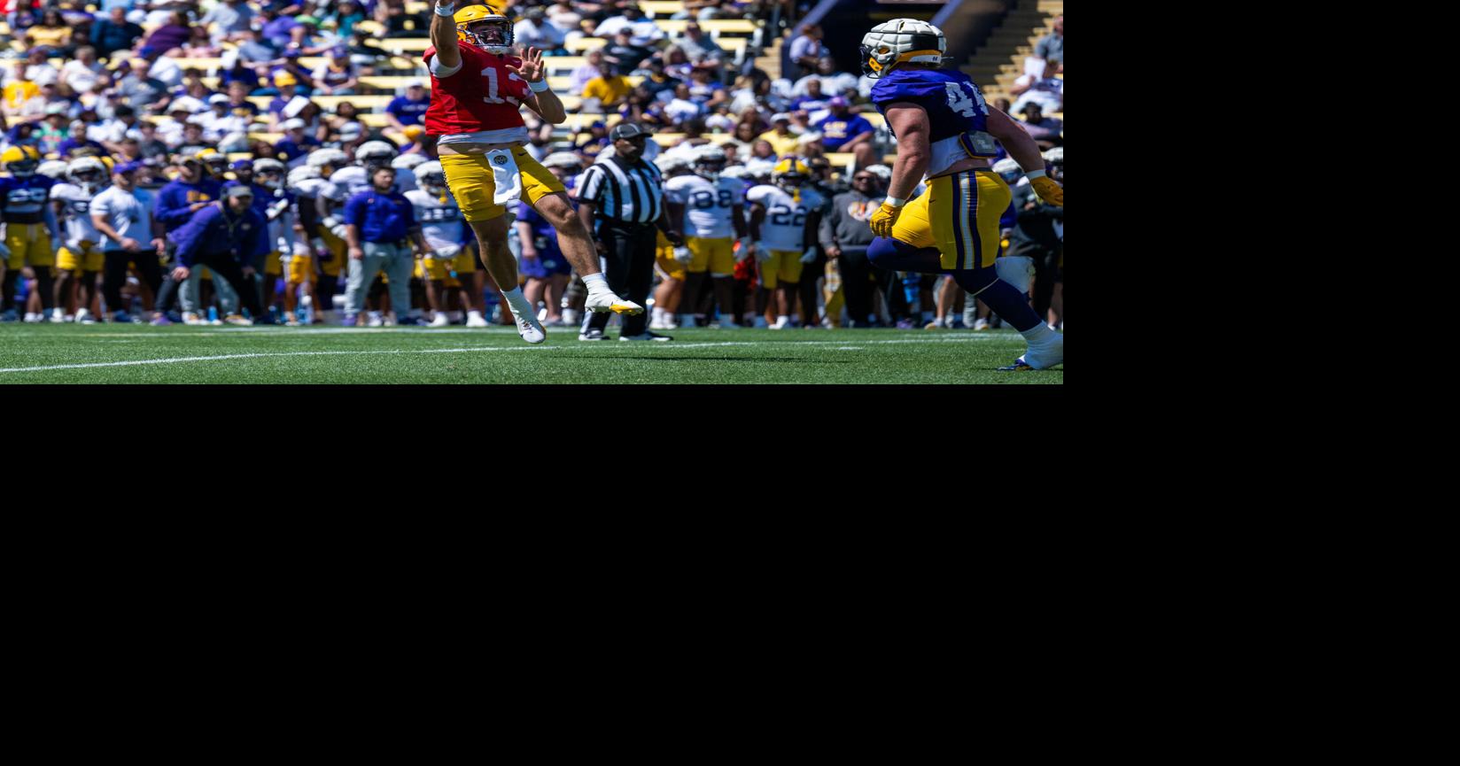 LSU student tickets to sports will carry new technology | News ...