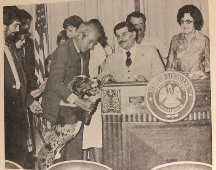 The origins of the Catahoula cur, Louisiana's state dog | Curious ...