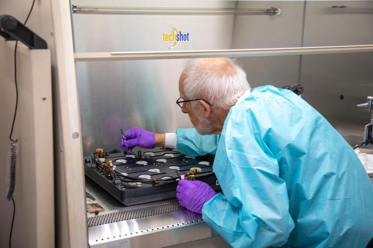 UL Lafayette professor takes gardening to new heights by growing ...