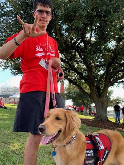 Service dog, banned from UL campus, had attacked, injured an emotional ...