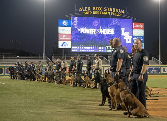 K-9s compete at USPCA National Field Trials in Baton Rouge | Crime ...