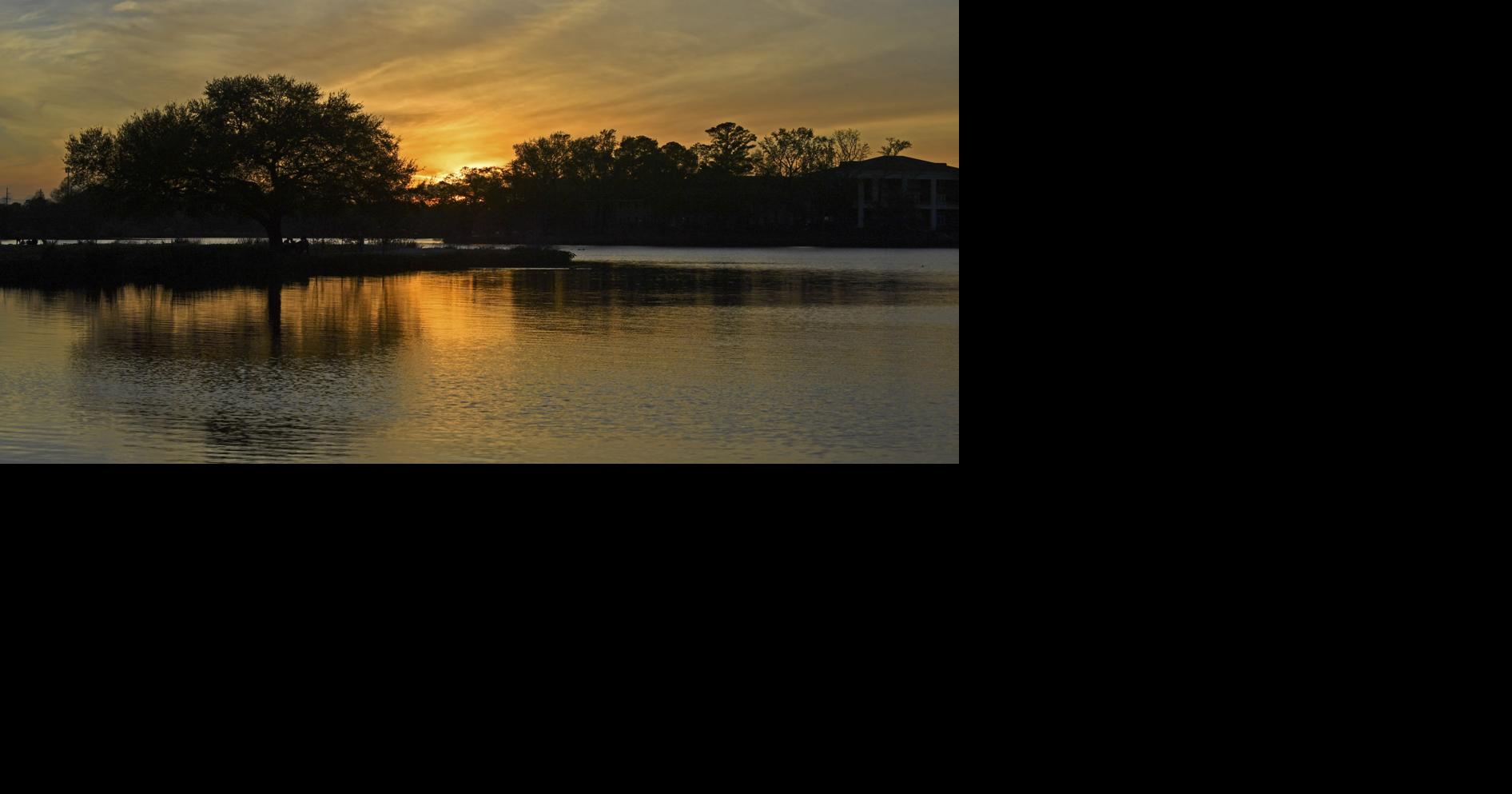 Southern student was punched, assaulted near LSU Lakes; officials think ...