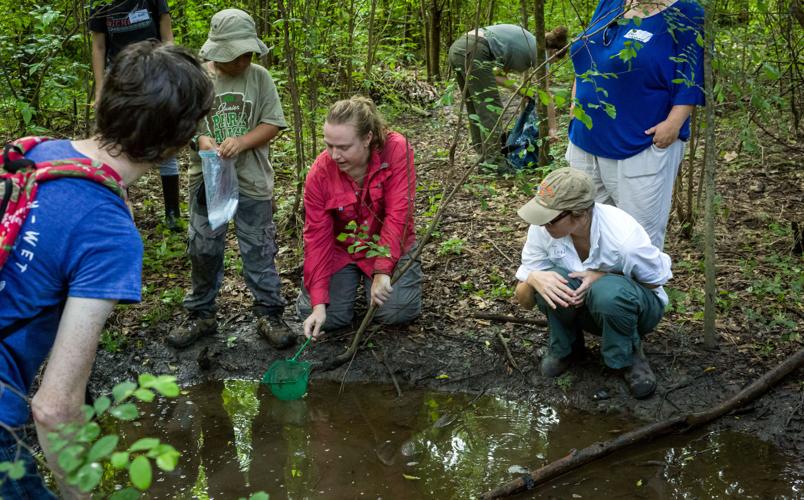 BioBlitz invades City Park to record its biological diversity ...
