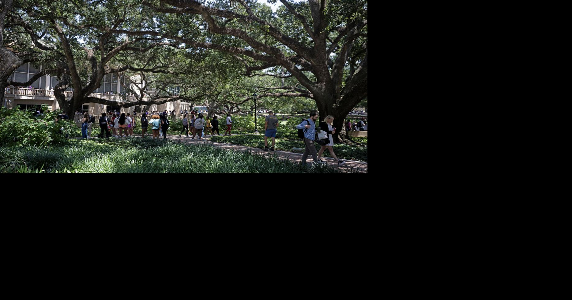 Out-of-state students on why they chose LSU and experiences ...