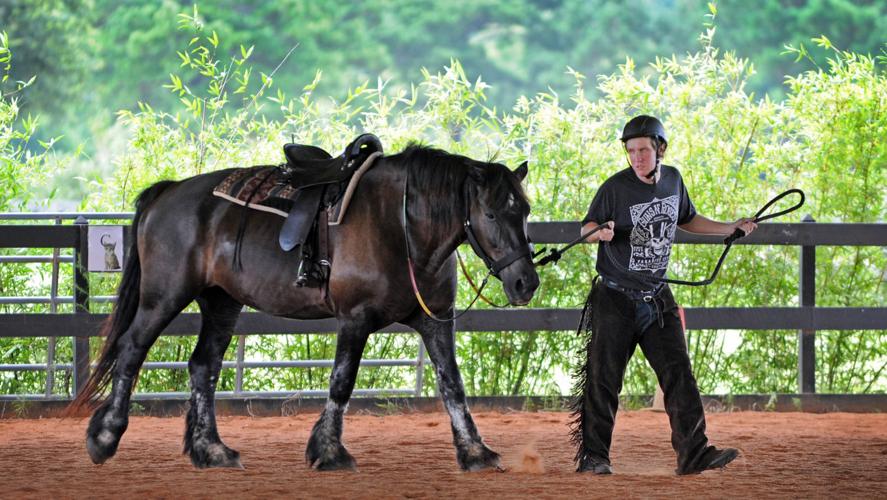 ‘Little miracles’ daily: Therapy horses help riders gain confidence ...