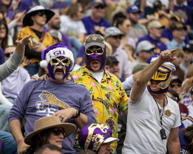 Why LSU fans say 'It never rains in Tiger Stadium' | Entertainment/Life ...