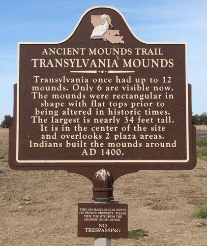 The story behind the Louisiana community of Transylvania ...