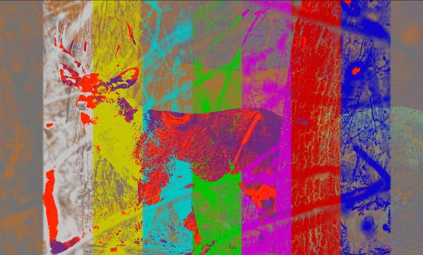 Yes We Cannibal opens multimedia exhibit | Entertainment/Life ...