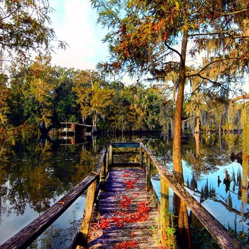 Erased from the bayou: Documentary looks at community impact of Bayou ...