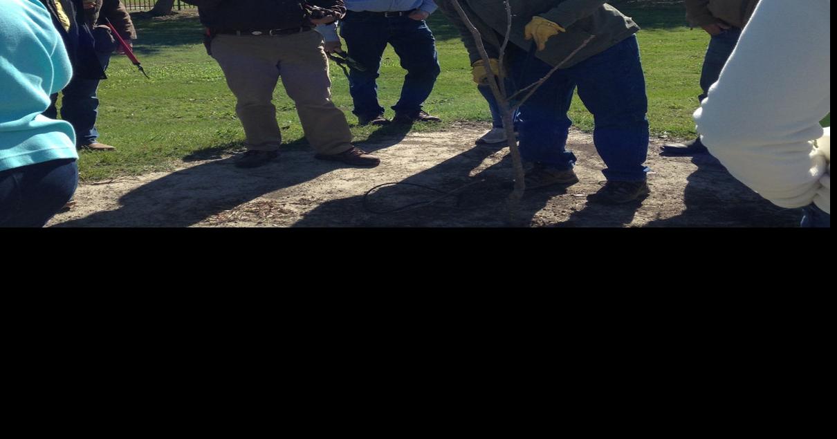 LSU AgCenter agents, Master Gardeners attend pruning workshop ...