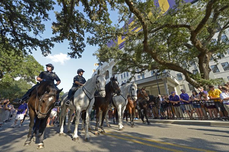 Photos, Video: Watch as LSU football makes first march down Victory ...