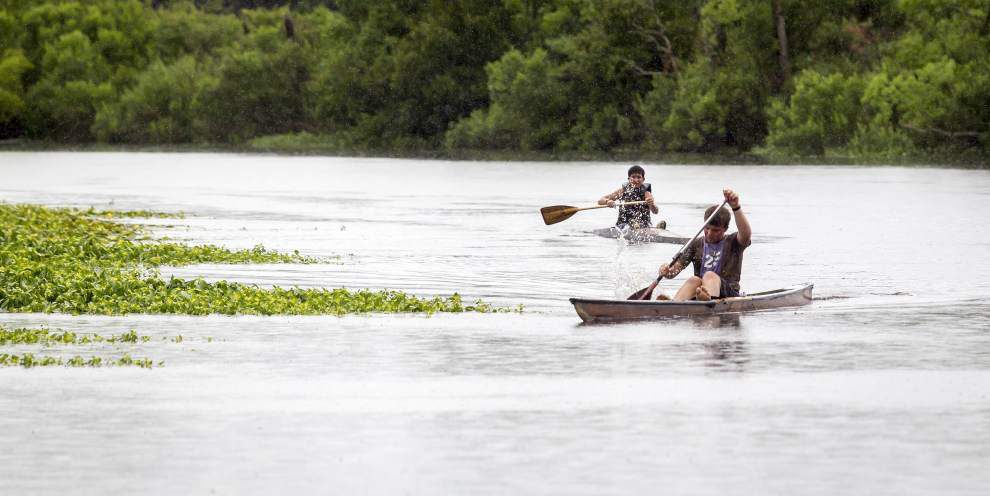 Bayou Liberty Pirogues Races, crowds appear after storm | St Tammany ...