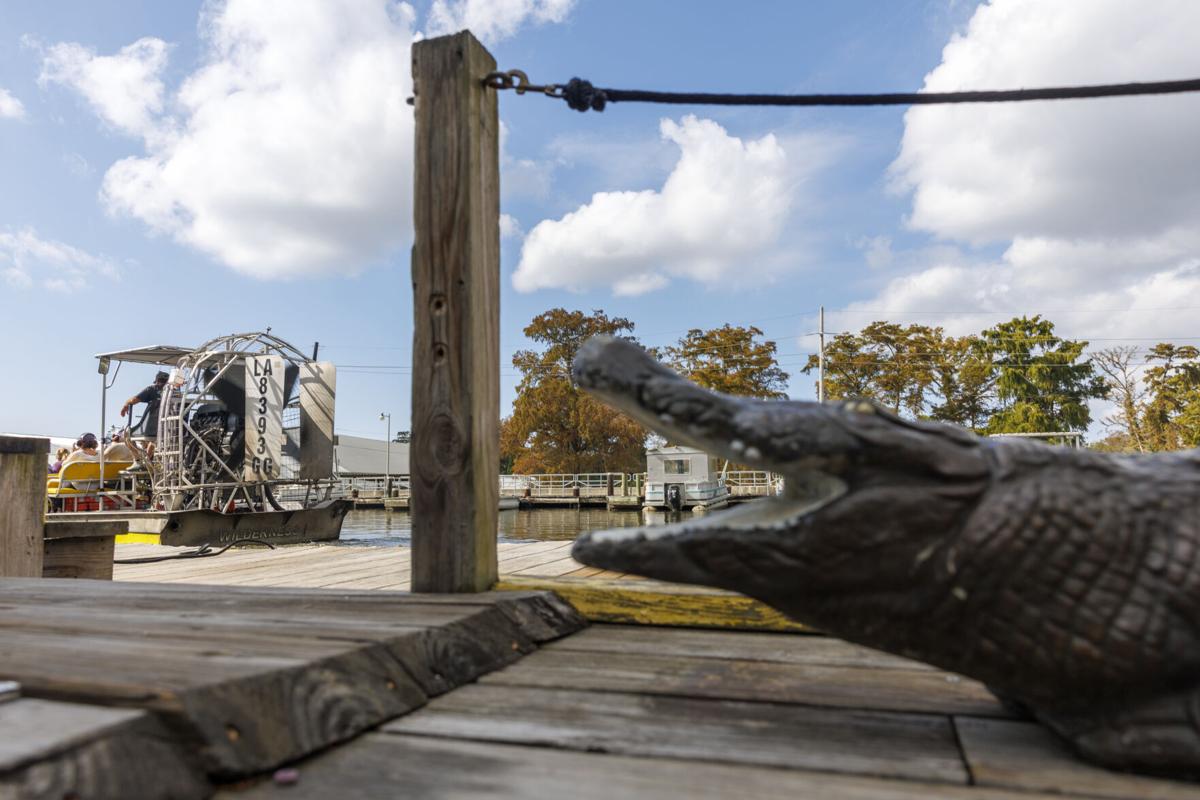 NO.gatortown.adv_5934.JPG | | theadvocate.com