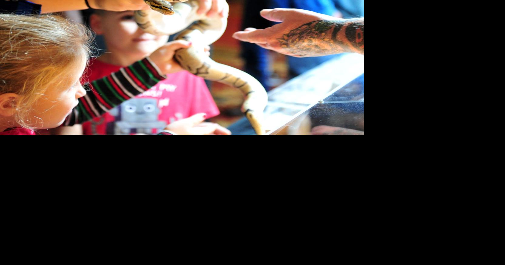 Photos: Repticon brings scaly, slithering show to Lafayette | Photos ...