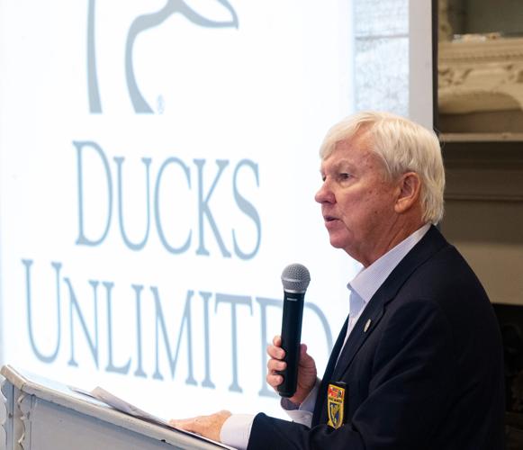 Ducks Unlimited $2.5 million donation for LA conservation | News ...