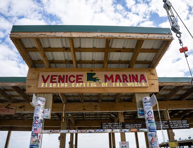 Louisiana nutria rodeo takes aim at harmful invasive species | News ...