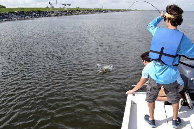 10 fascinating redfish facts | Louisiana Outdoors | theadvocate.com
