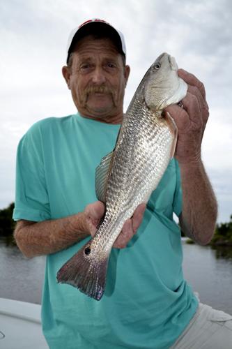 Lafitte redfish wondering what took speckled trout so long | Louisiana ...