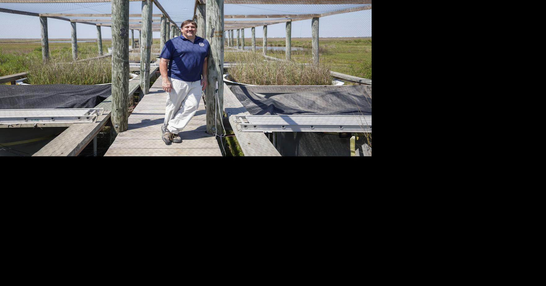 Deepwater Horizon fallout still being studied 15 years later | Business ...