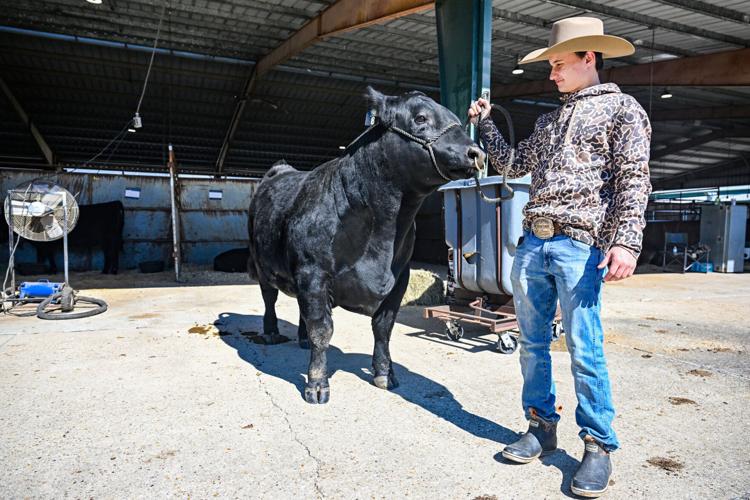 2,000 youth livestock exhibitors to show their animals at the LSU ...