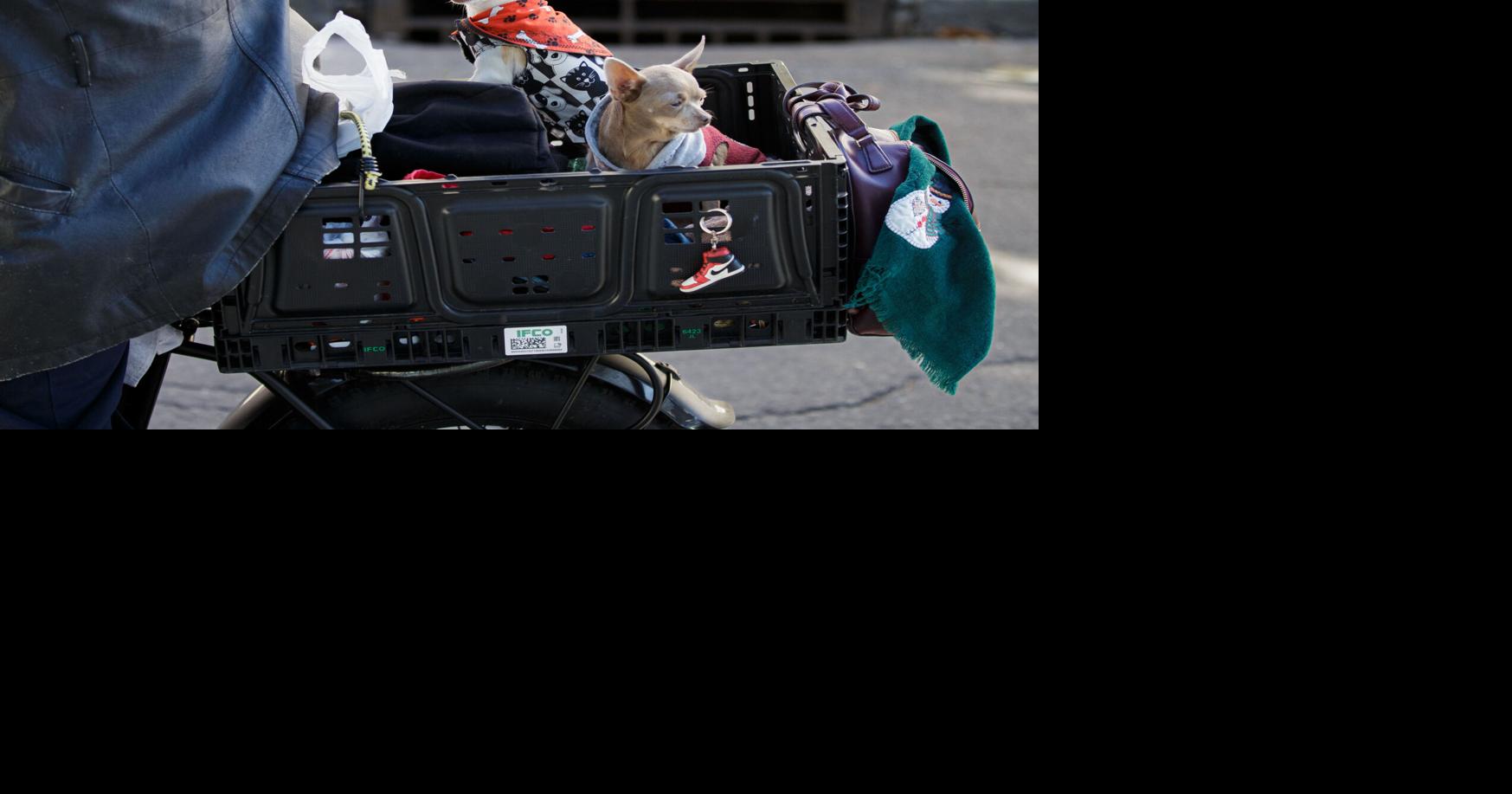 NO.ruff.adv_1.jpg | | theadvocate.com