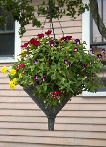 Spanish Town men put new spin on urban sprawl with rambling landscape ...