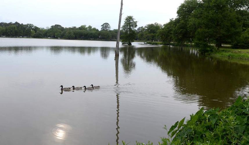 Capital Outlay bill calls for $40 million to plan, fund Baton Rouge ...