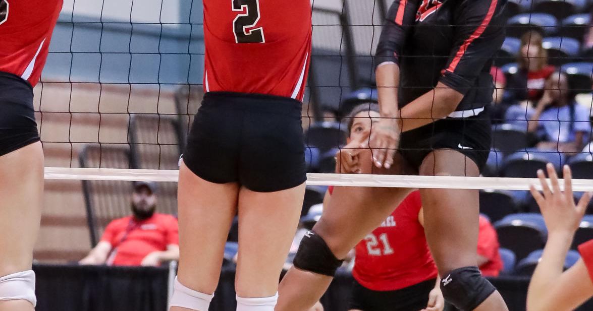 Check out the the Baton Rouge area all-district volleyball teams | High ...