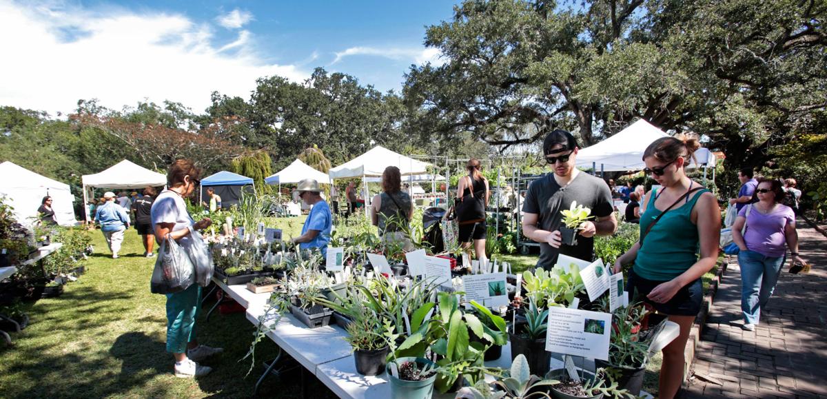 Digging In: Fall Garden Fest kicks off a busy October; here's your ...
