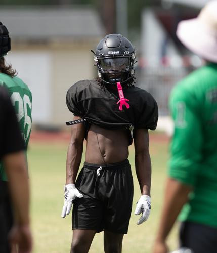 Simmons provides stability at cornerback for Mighty Lions | High ...
