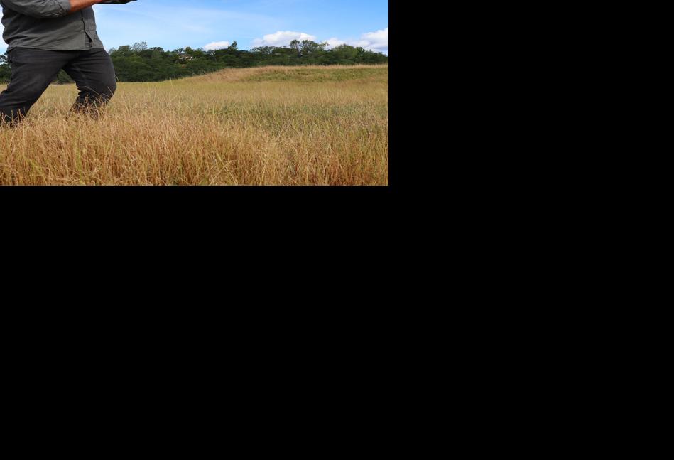 Jonathan Foster tries to ‘fill the joy gap’ with songs about living ...