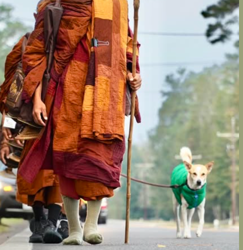 Monks on 120- day “Walk for Peace” arrive in Louisiana | Entertainment ...