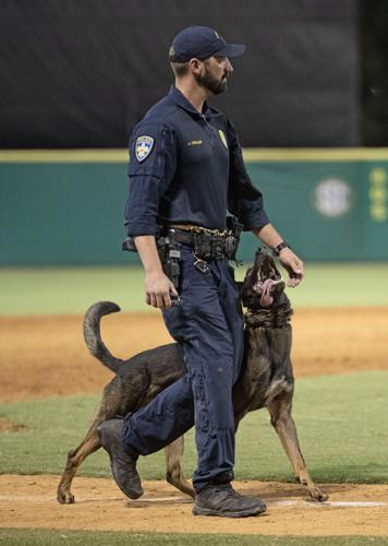 K-9s compete at USPCA National Field Trials in Baton Rouge | Crime ...