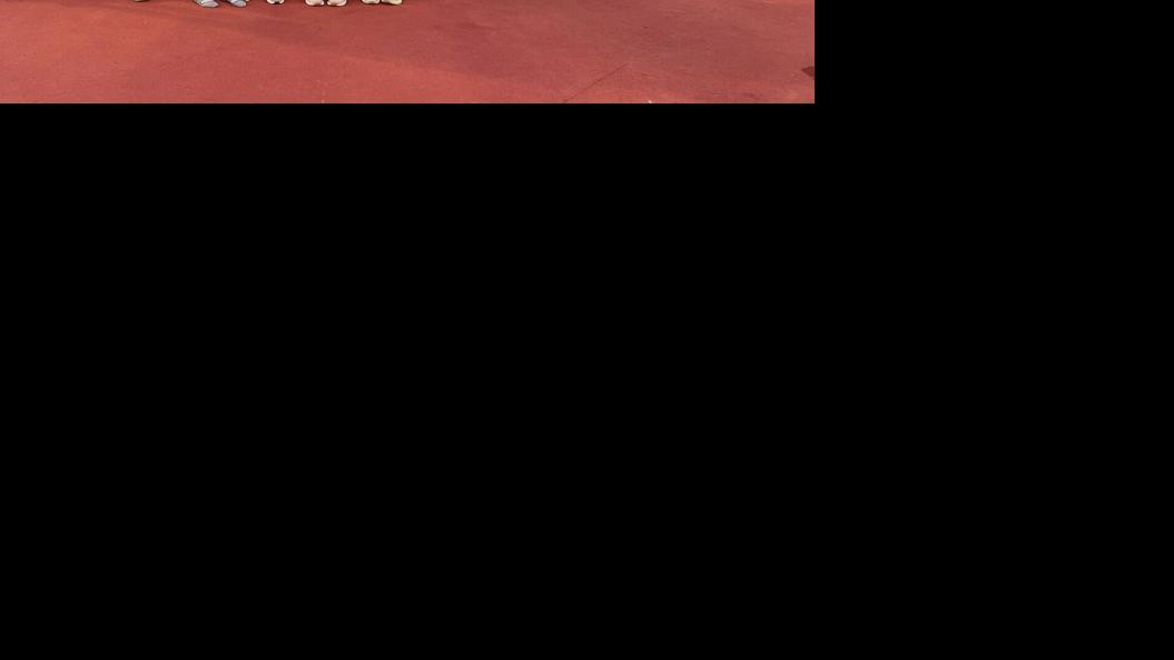 Teurlings girls track finishes as 4A state runner-up | High Schools ...