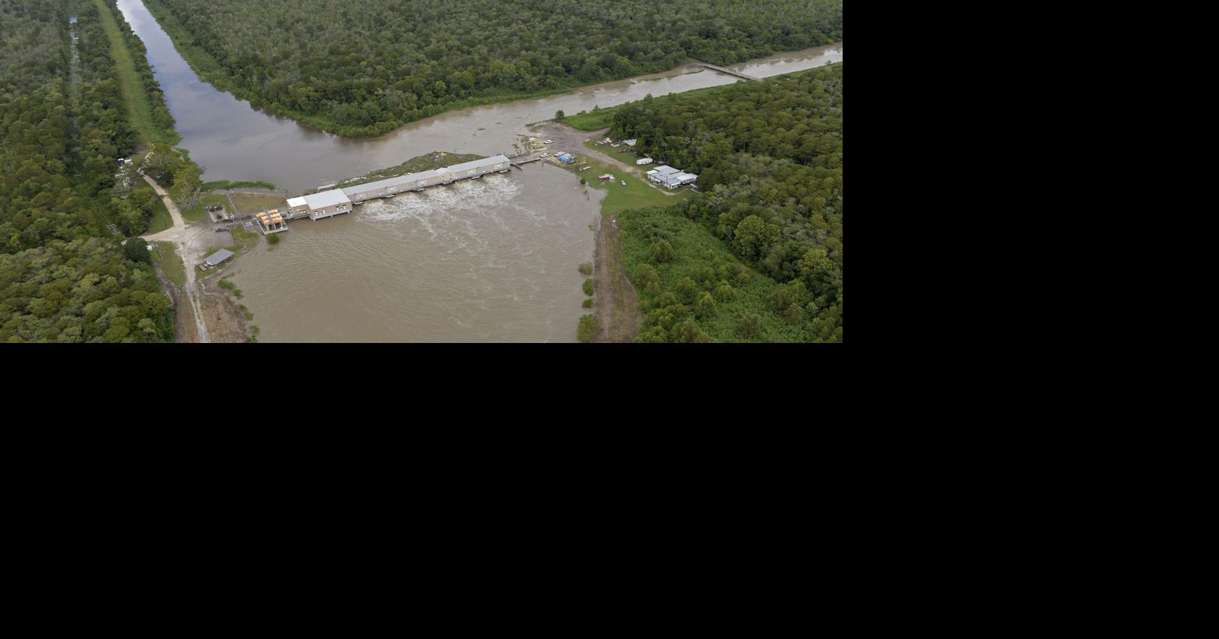 Sorrento officials press drainage board to clear overgrown ditches ...
