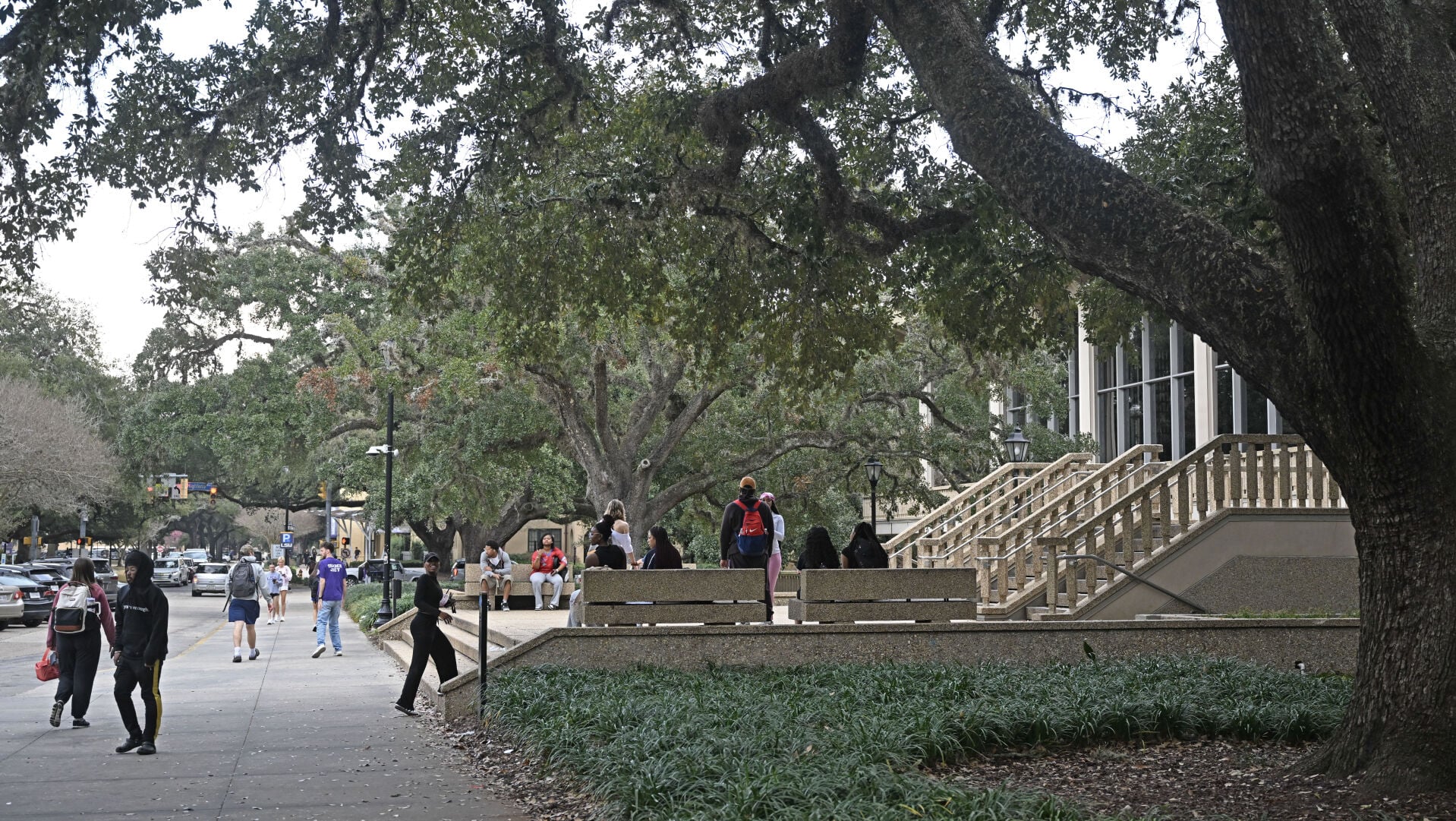 LSU names new senior vice chancellor after national search | News ...