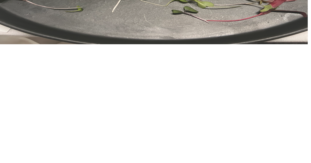 Baton Rouge chefs win at Epicurean Society's Fête Rouge | Entertainment ...