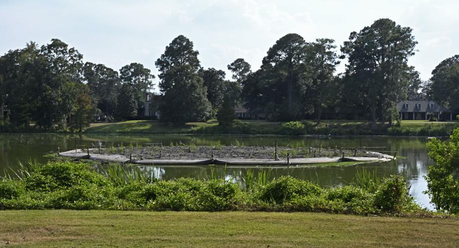 Yes, things are quiet on the LSU lakes project. Here's why everything's ...