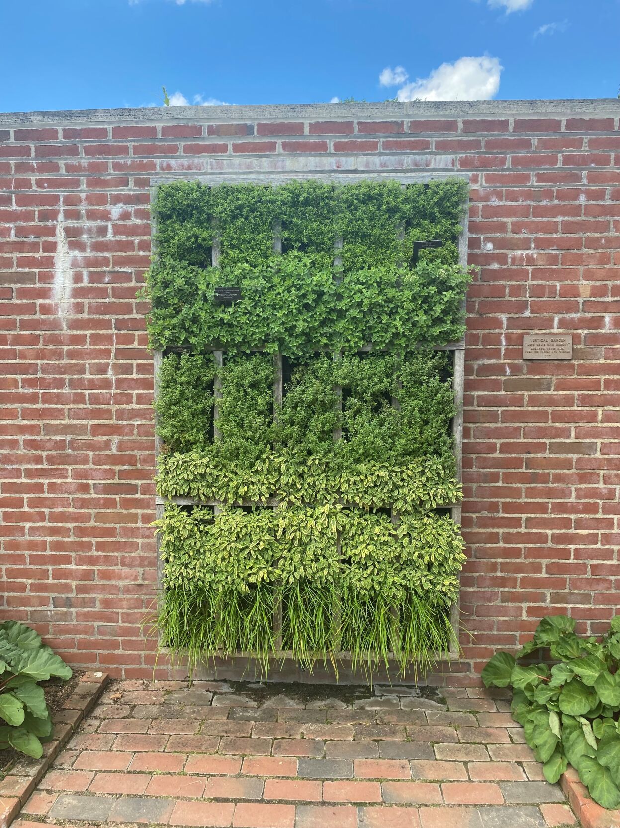 LSU Garden News: Get creative with micro gardens | Entertainment/Life ...