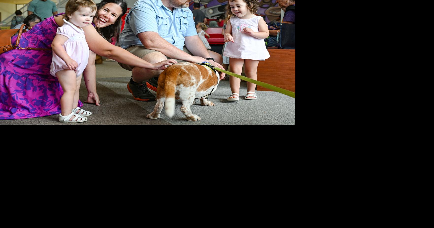 BR.wildknockknockdogs.adv.01.JPG | | theadvocate.com