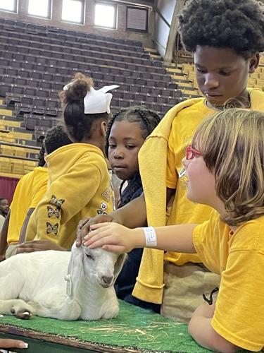 Jackson Elementary School students visit AgMagic | East Feliciana ...