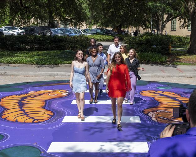 LSU campus pedestrian accidents spark students into action | News ...