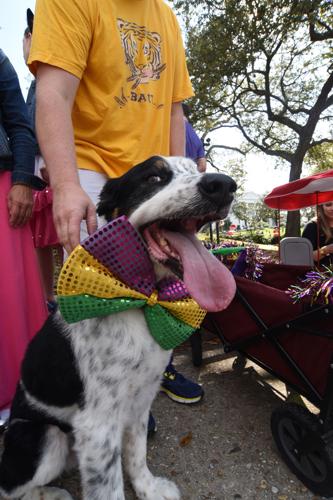 Smiley: Crying for beads: it works | Smiley Anders | theadvocate.com