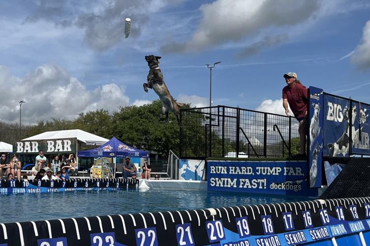 From diving dogs to chicken coops, Louisiana Outdoor Expo had it all ...