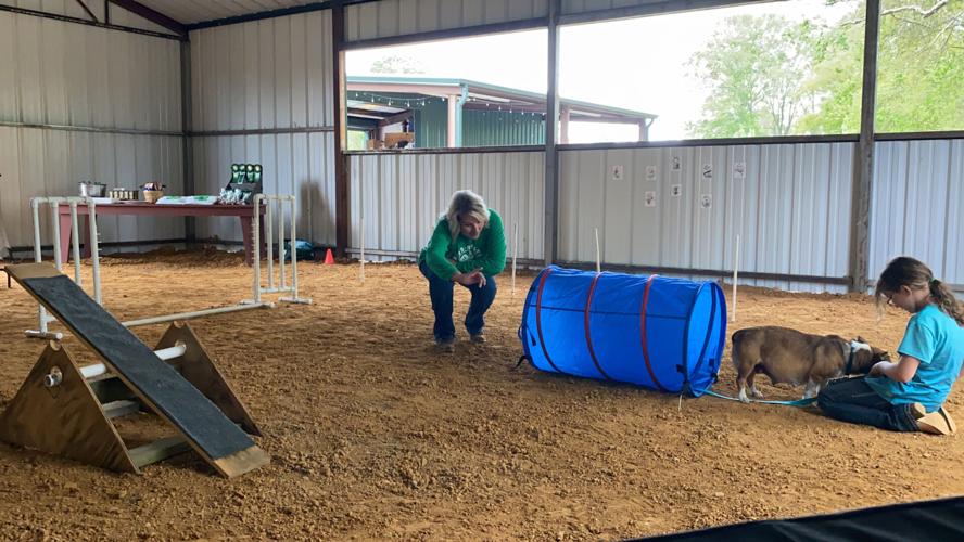East Feliciana Parish 4-H Dog Club completes first year | East ...