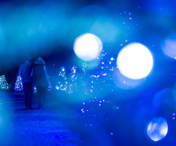 Louisiana Lights at Windrush Gardens transform the landscape | Baton ...